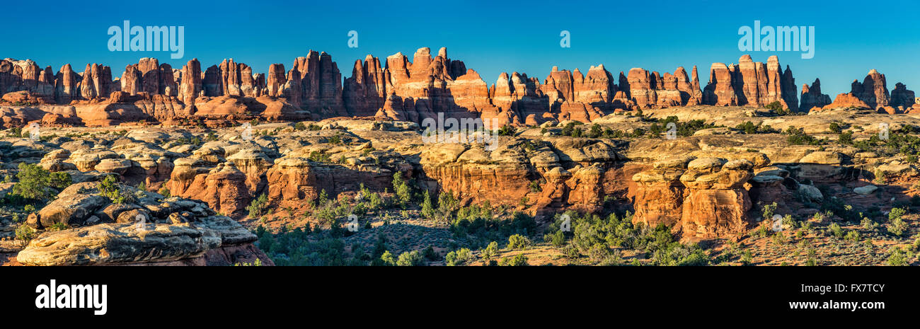 Rock spires near Squaw Flat Campground at sunrise, The Needles section ...