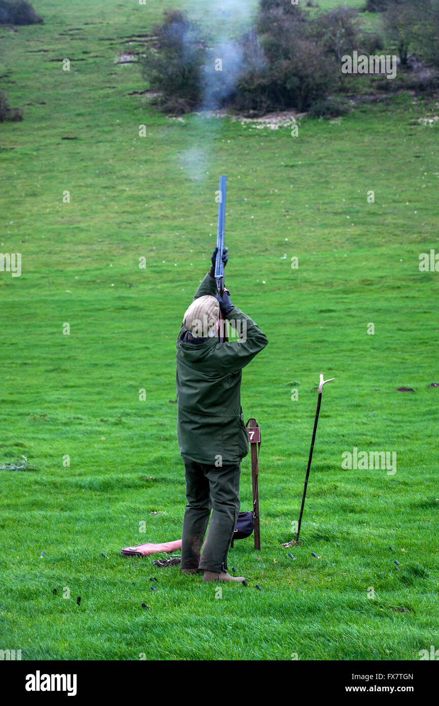 Pheasant and partridge shoot on the Angmering Estate, near Worthing ...
