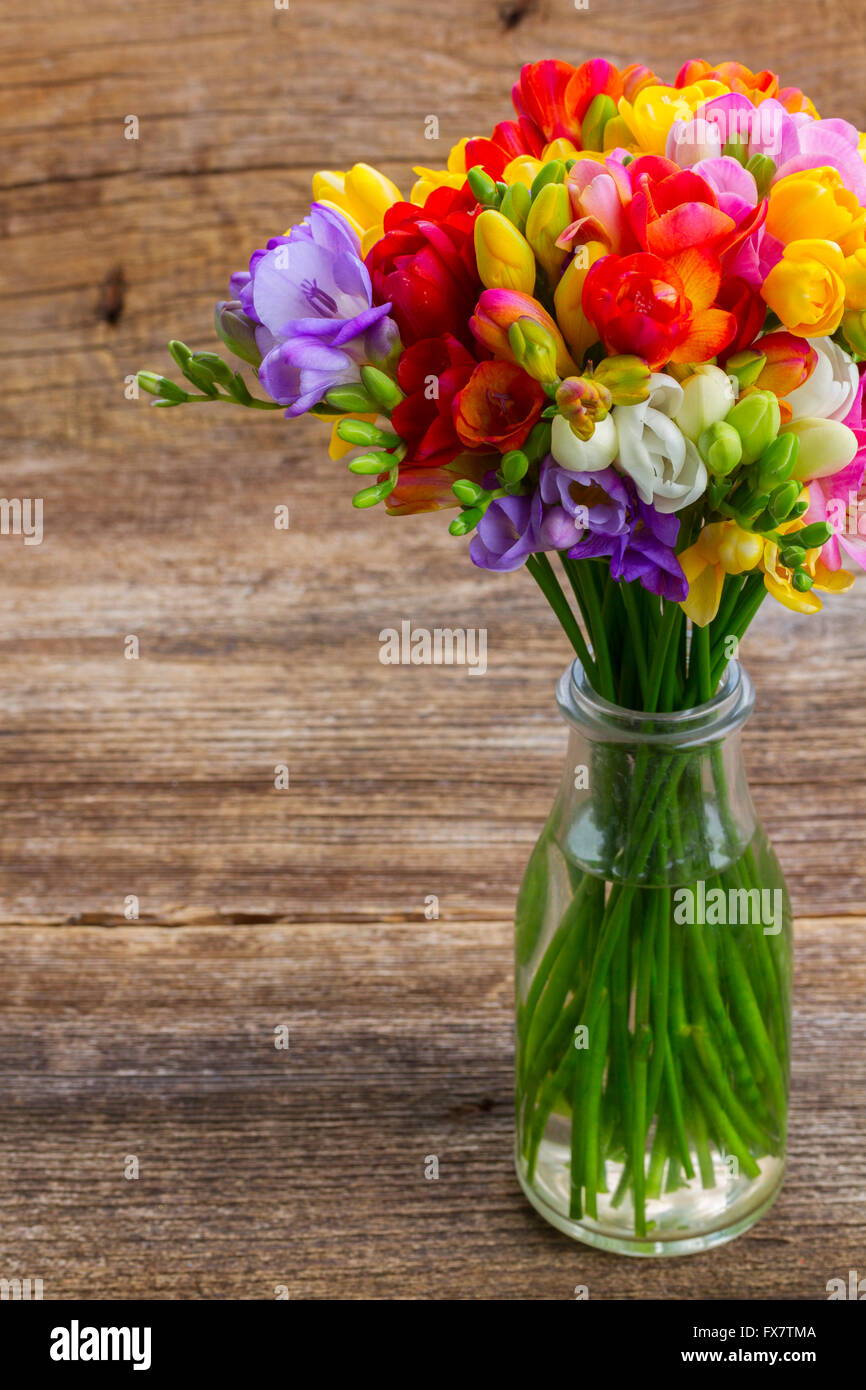 Freesias garden border hi-res stock photography and images - Alamy