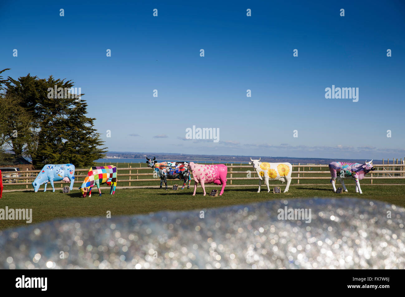 The Herd, a collection of painted cows, at Tapnall Farm near Yarmouth ...