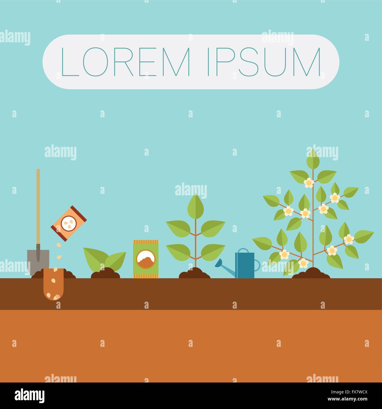 Garden planting stages Stock Vector Image & Art - Alamy