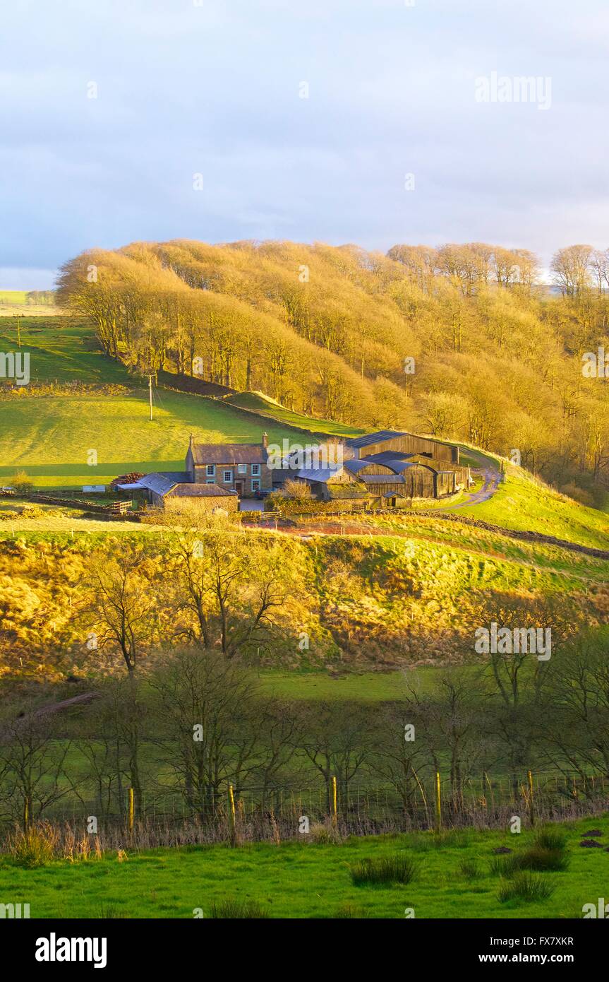 Hadrian’s Wall. Willow Ford Farm, Gilsland, Hadrian’s Wall National ...