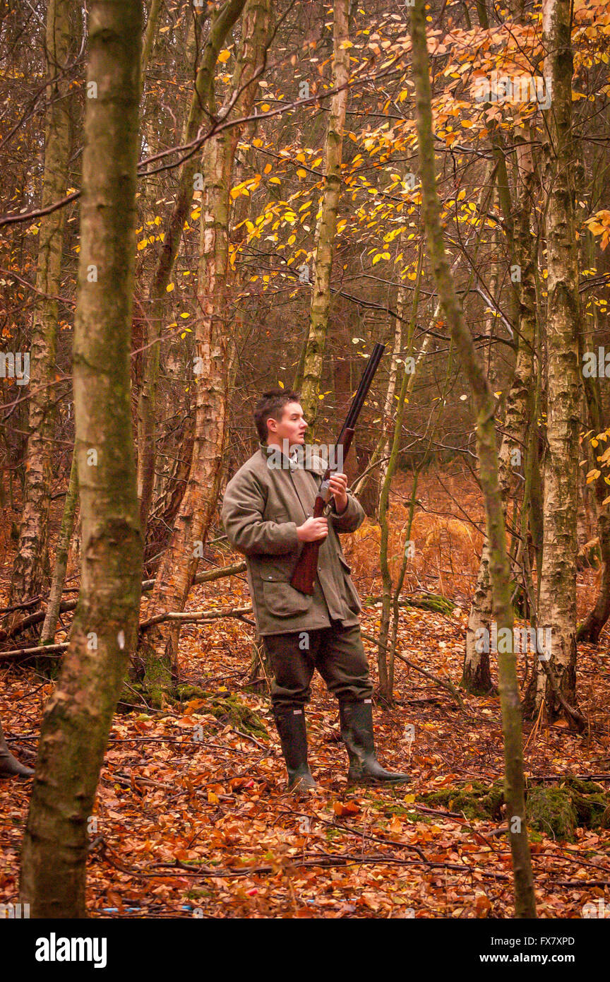 Pheasant and partridge shoot in Ashburnham East Sussex Stock Photo - Alamy