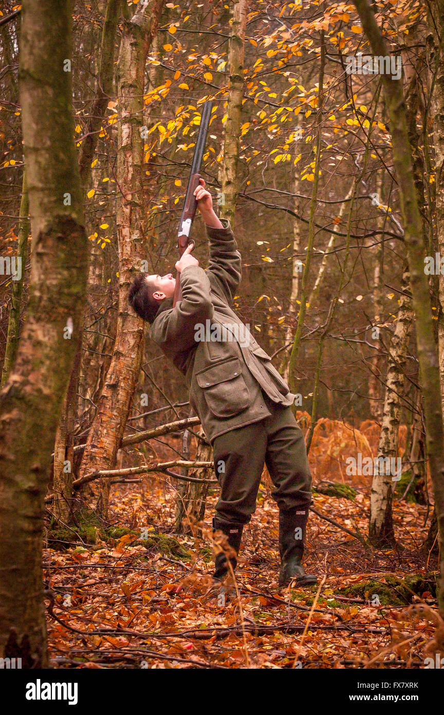 Pheasant and partridge shoot in Ashburnham East Sussex Stock Photo - Alamy