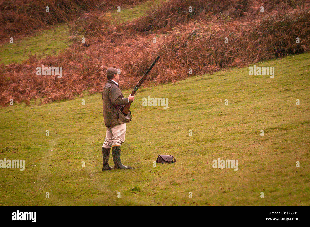 Pheasant and partridge shoot in Ashburnham East Sussex Stock Photo - Alamy