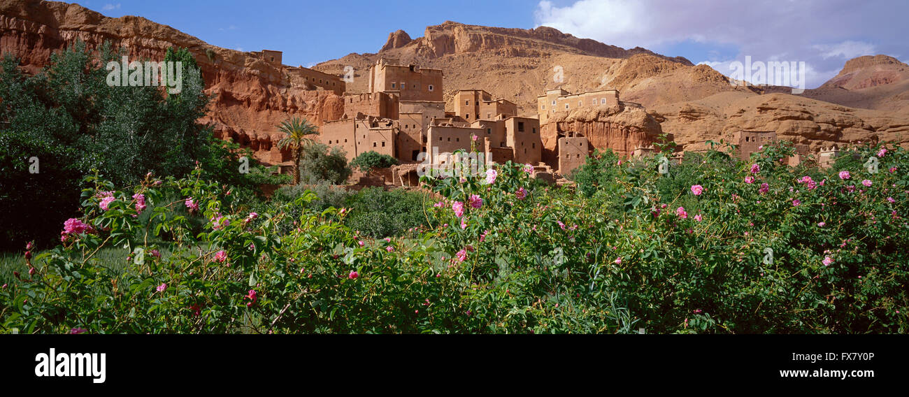 Morocco atlas dades rose valley hi-res stock photography and images - Alamy