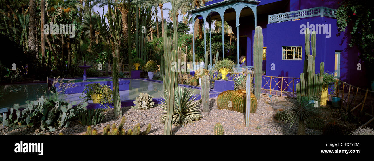 Majorelle garden, Marrakech, Morocco Stock Photo - Alamy
