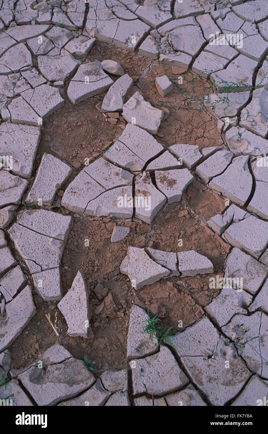 Aridity hi-res stock photography and images - Alamy