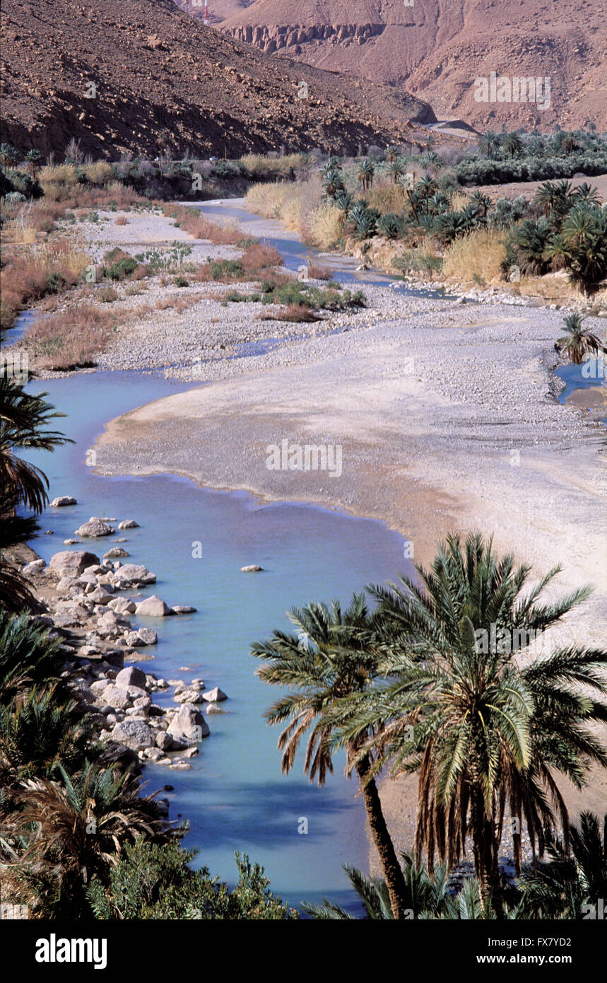 Ziz Valley Palm Stock Photos & Ziz Valley Palm Stock Images - Alamy