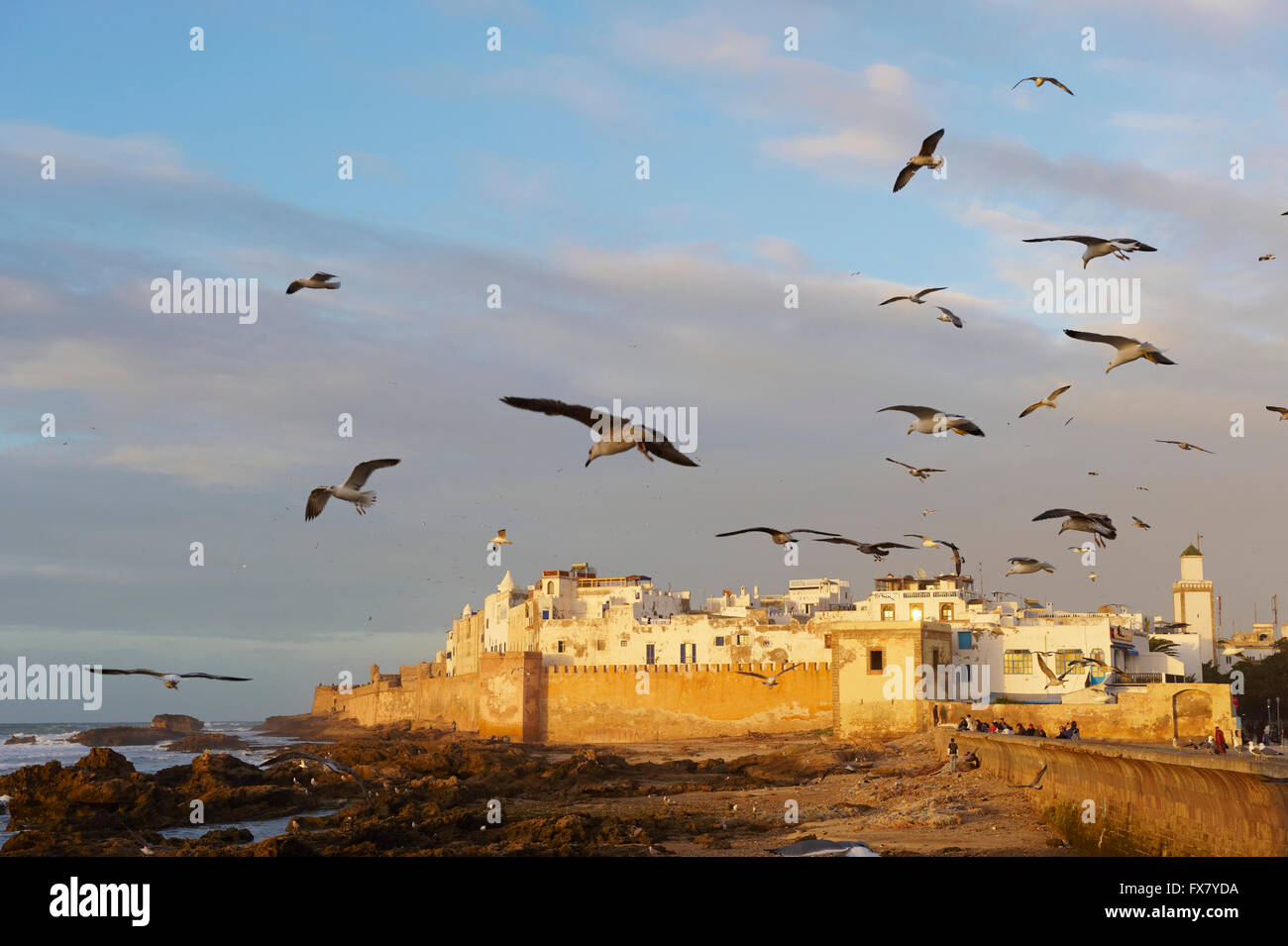 Morocco, Medina, Essaouira, Atlantic coast Stock Photo - Alamy
