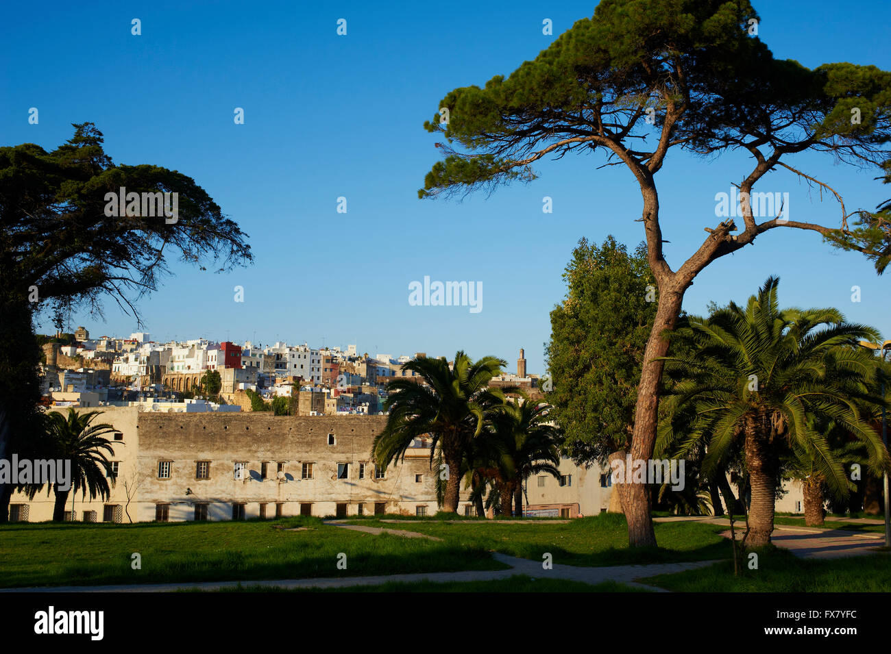 Tangier Morocco Garden High Resolution Stock Photography and Images - Alamy