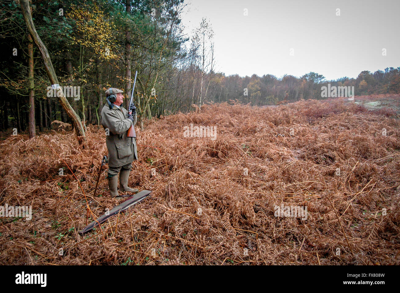Pheasant and partridge shoot in Ashburnham East Sussex Stock Photo - Alamy