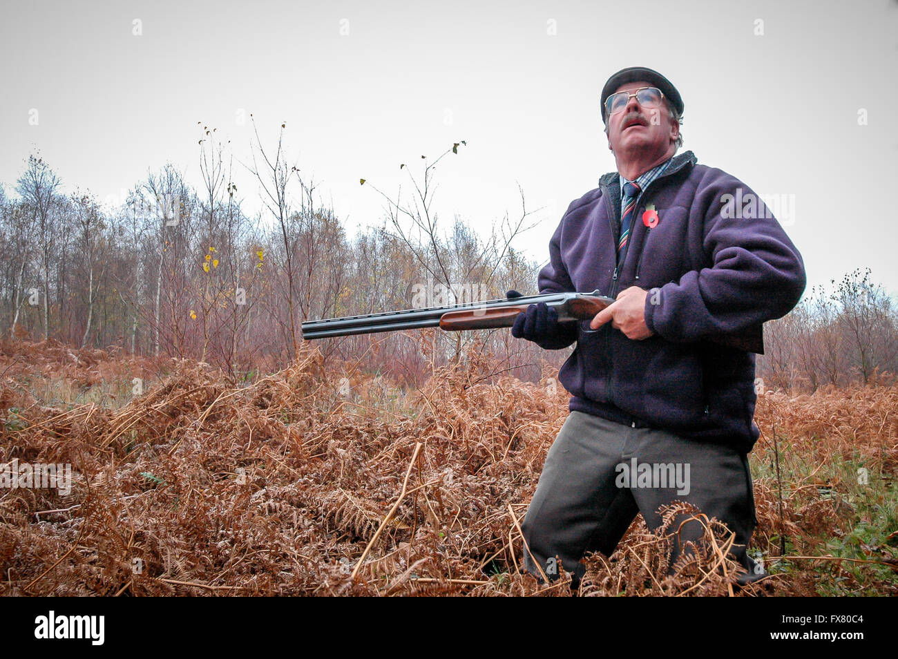 Pheasant and partridge shoot in Ashburnham East Sussex Stock Photo - Alamy