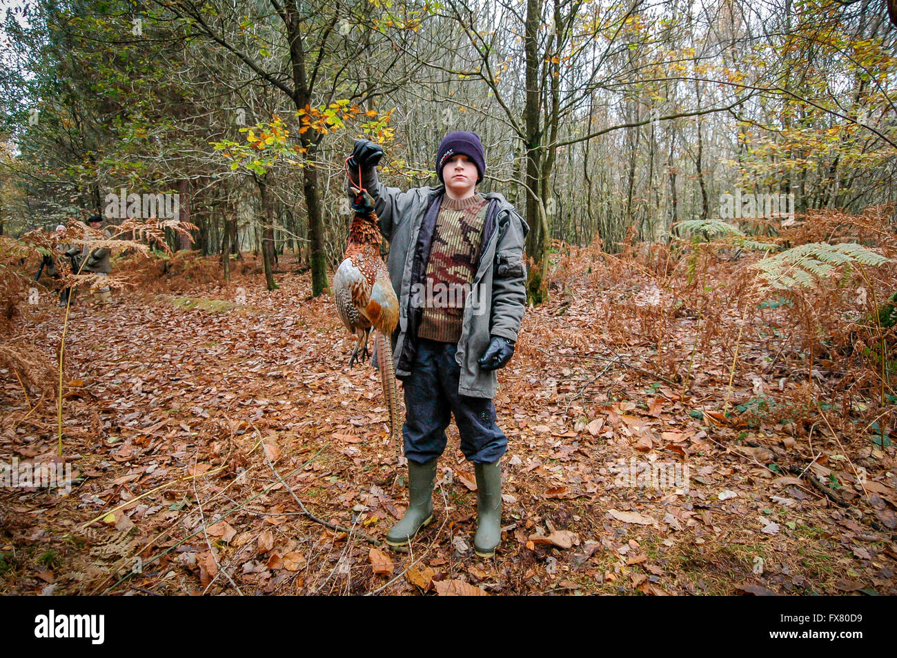 Pheasant and partridge shoot in Ashburnham East Sussex Stock Photo - Alamy
