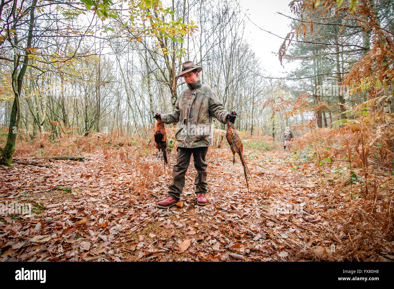 Pheasant and partridge shoot in Ashburnham East Sussex Stock Photo - Alamy