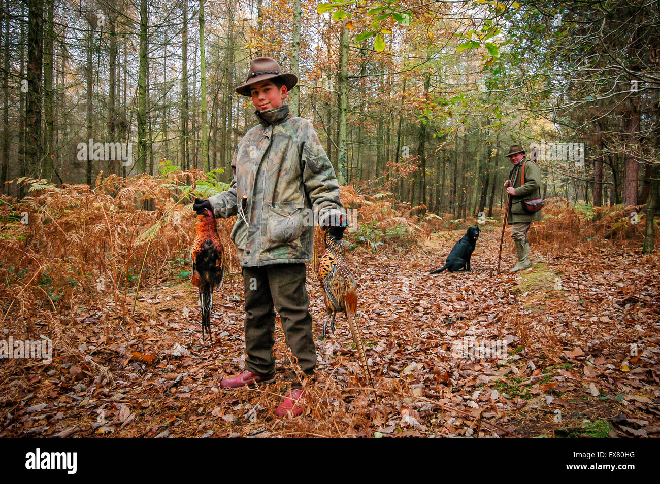 Pheasant and partridge shoot in Ashburnham East Sussex Stock Photo - Alamy