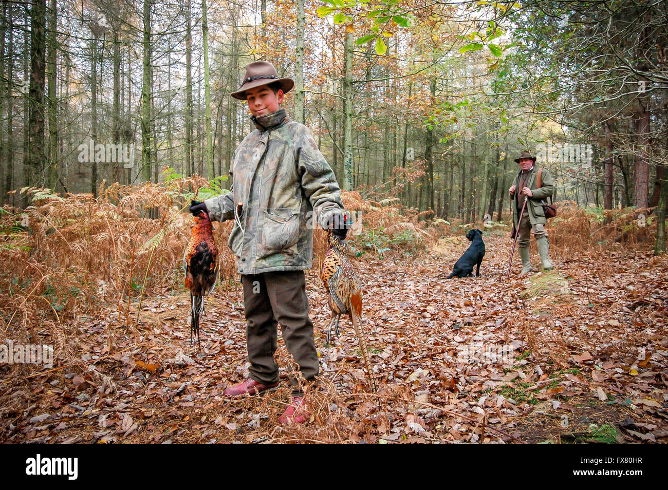 Pheasant and partridge shoot in Ashburnham East Sussex Stock Photo - Alamy