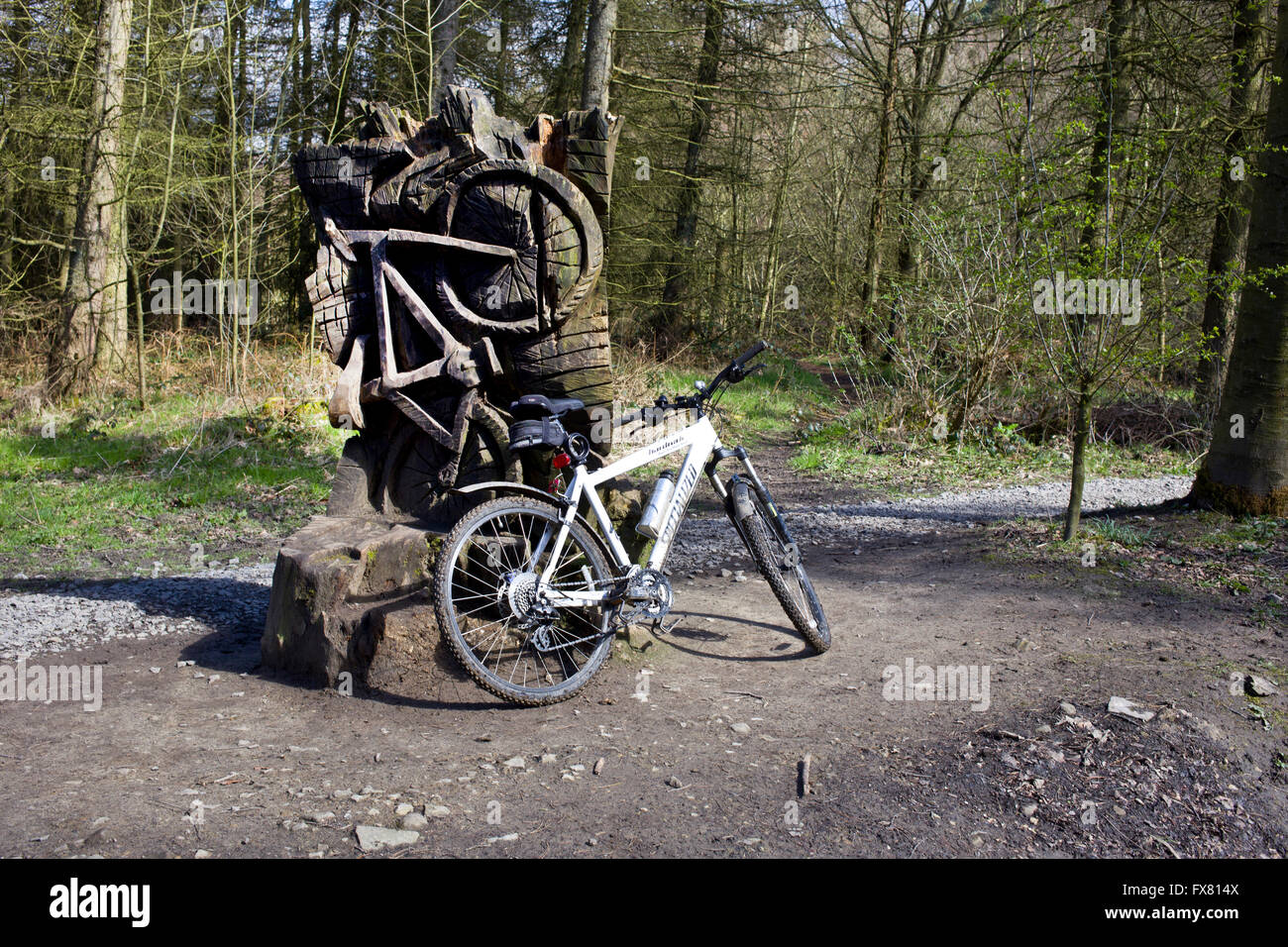 Sculptured cycle bench in Chevin Country Park, Otley, Nr Leeds Stock ...