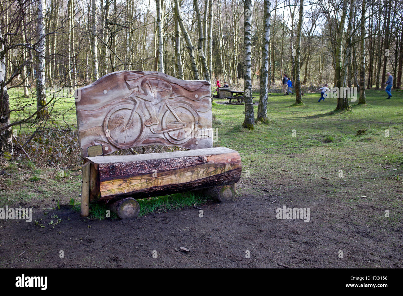 Sculptured cycle bench in Chevin Country Park, Otley, Nr Leeds Stock ...
