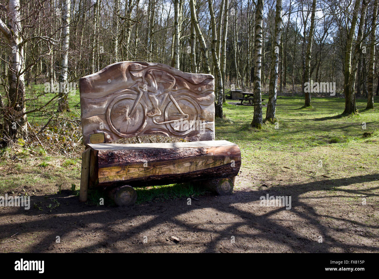 Sculptured cycle bench in Chevin Country Park, at Caley Craggs, Otley ...