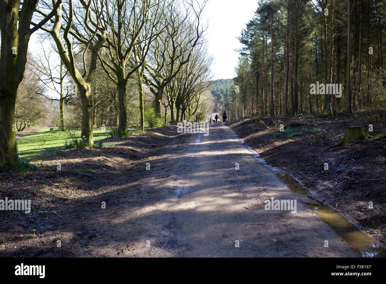Chevin Country Park, at Caley Craggs, Otley, Nr Leeds Stock Photo - Alamy