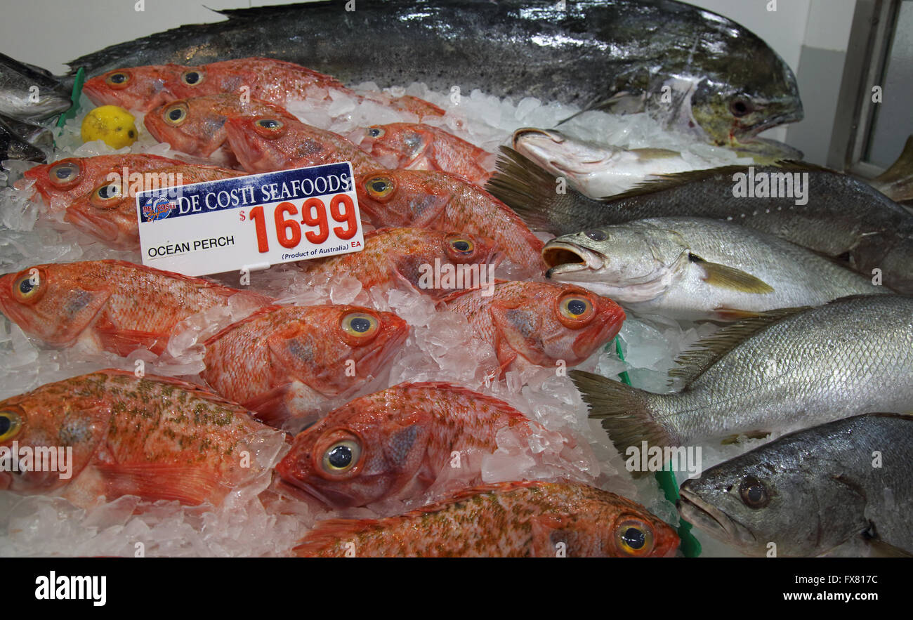 Sydney fish market australia hi-res stock photography and images - Alamy
