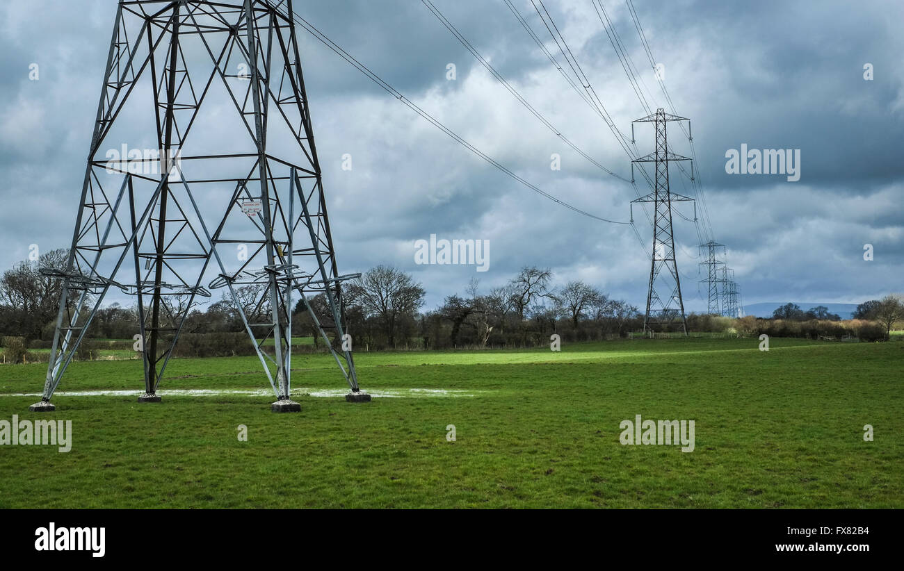 Row of electricity pylons across green fields Stock Photo - Alamy