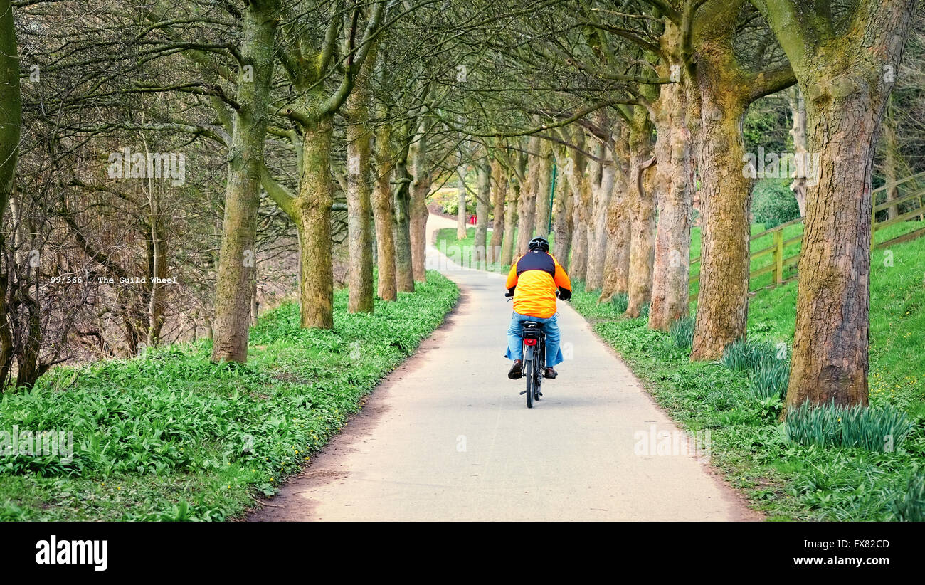 Man cycling down path between trees Stock Photo - Alamy