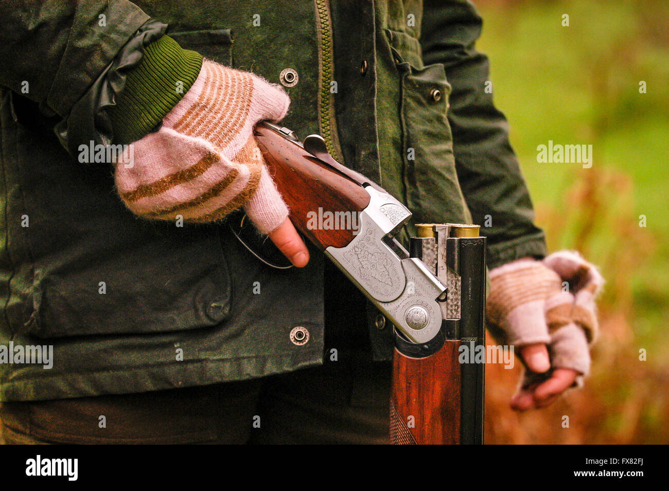 Pheasant and partridge shoot in Ashburnham East Sussex Stock Photo - Alamy