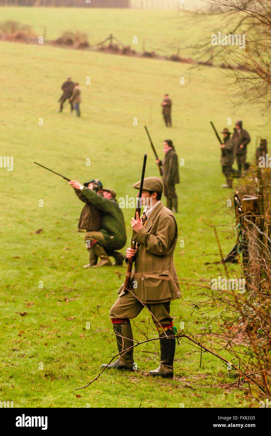 Pheasant and partridge shoot in Ashburnham East Sussex Stock Photo - Alamy