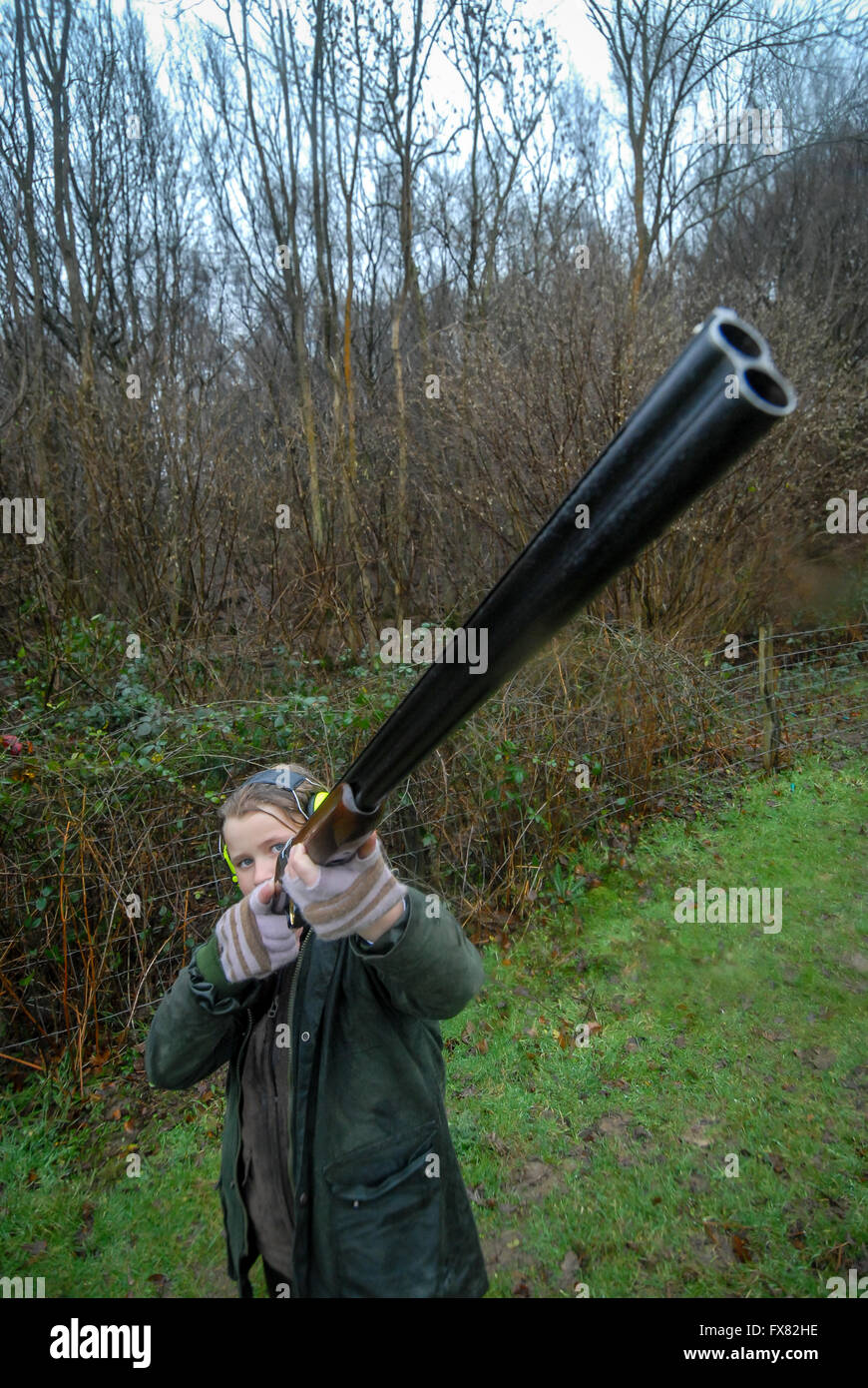 Pheasant and partridge shoot in Ashburnham East Sussex Stock Photo - Alamy
