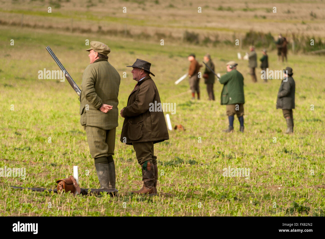 A pheasant and partridge shoot in Patching Stock Photo - Alamy