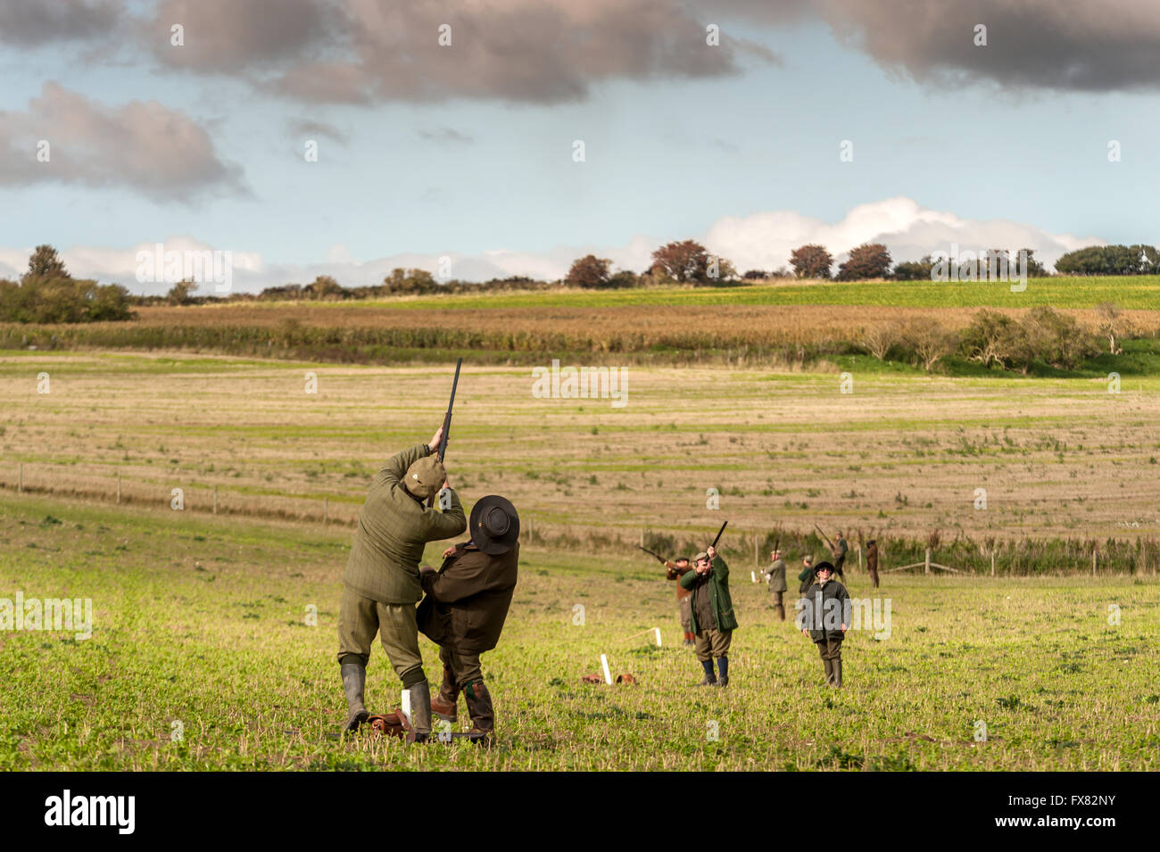 A pheasant and partridge shoot in Patching Stock Photo - Alamy