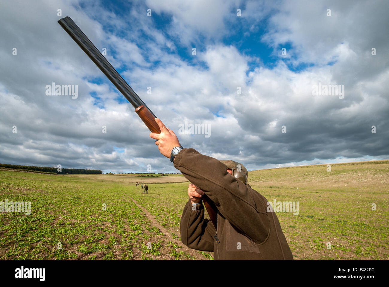 A pheasant and partridge shoot in Patching Stock Photo - Alamy