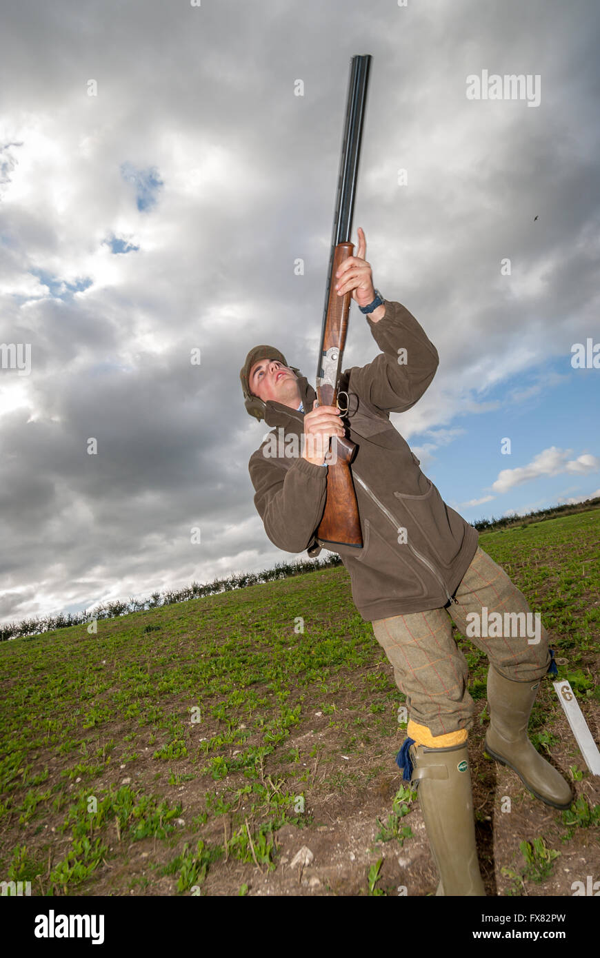 A pheasant and partridge shoot in Patching Stock Photo - Alamy