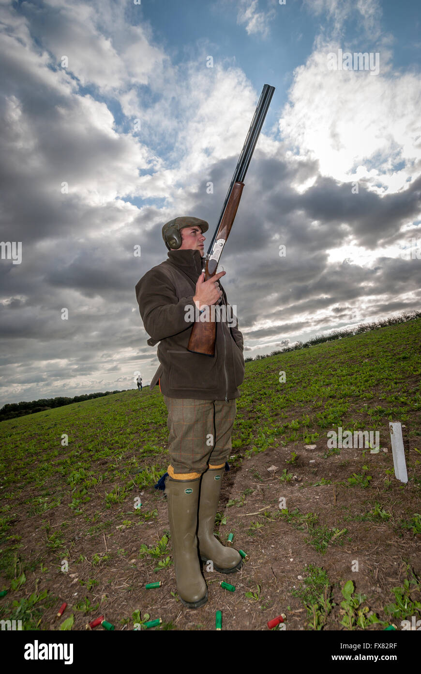 A pheasant and partridge shoot in Patching Stock Photo - Alamy