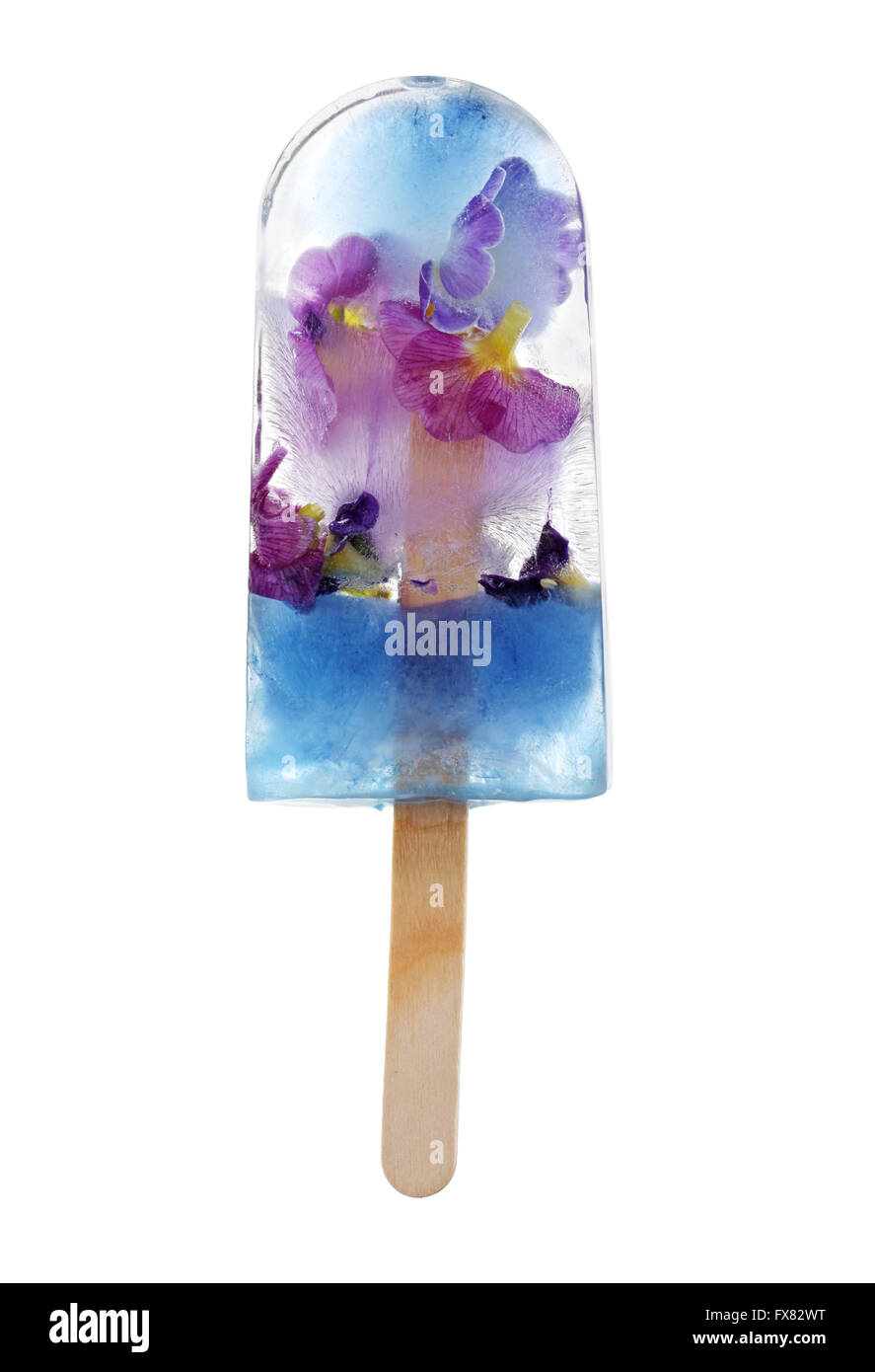 homemade edible flower ice pop, popsicle isolated on white background ...