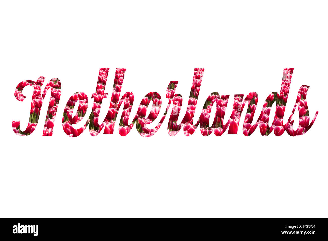 Name of country Netherlands written from Red tulip flowers Stock Photo ...