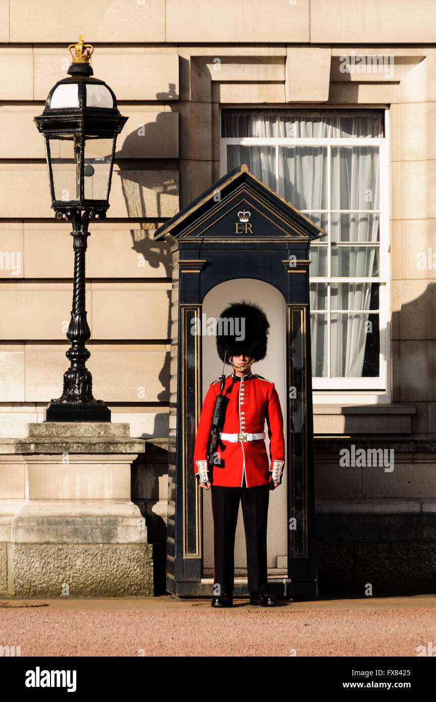 Buckingham palace guard hi-res stock photography and images - Alamy