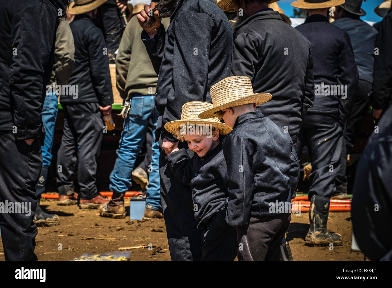 Amish Mud Sale, held every spring in Lancaster, PA. Fund raising for ...