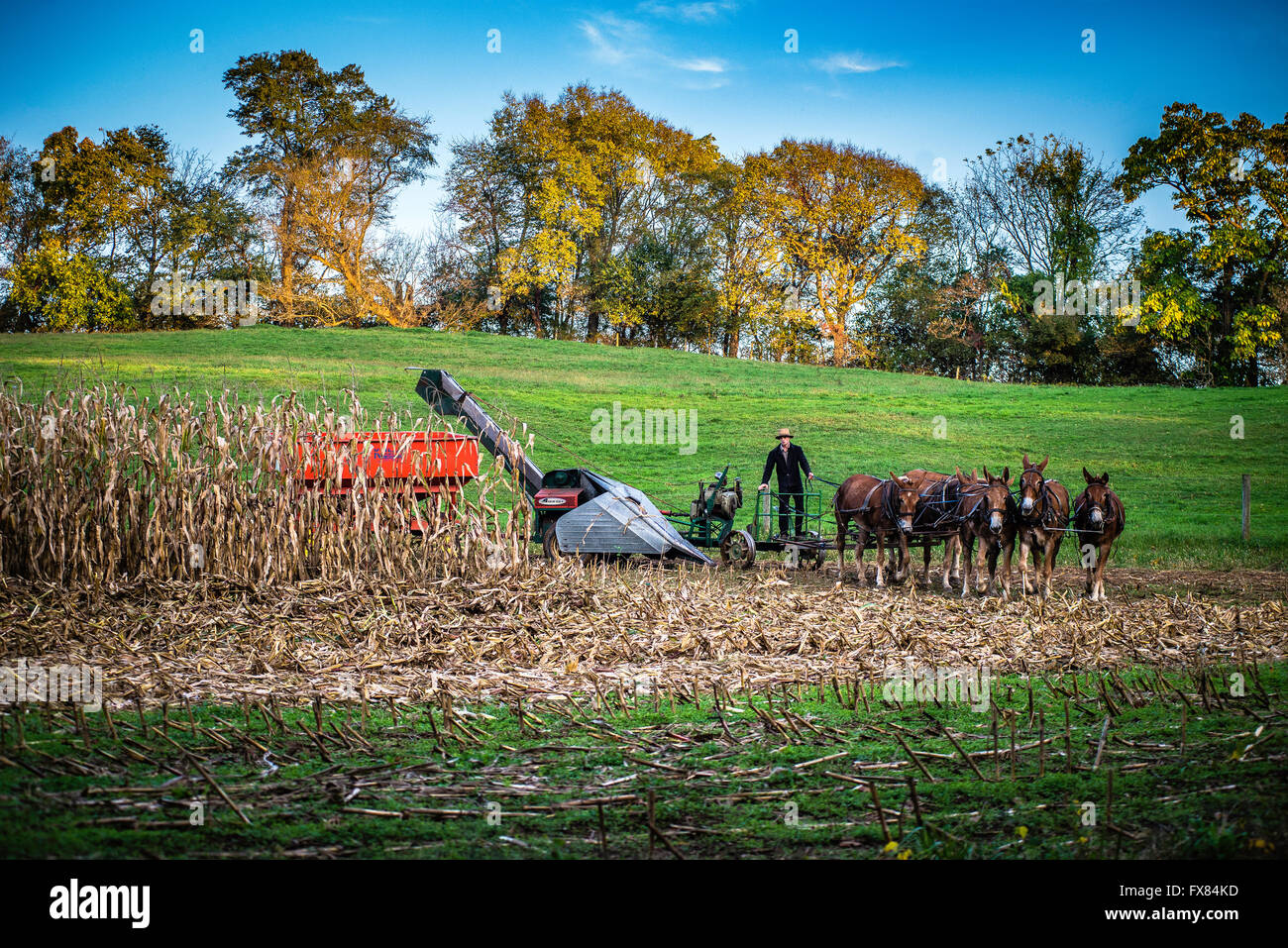 Amish Mud Sale, held every spring in Lancaster, PA. Fund raising for ...