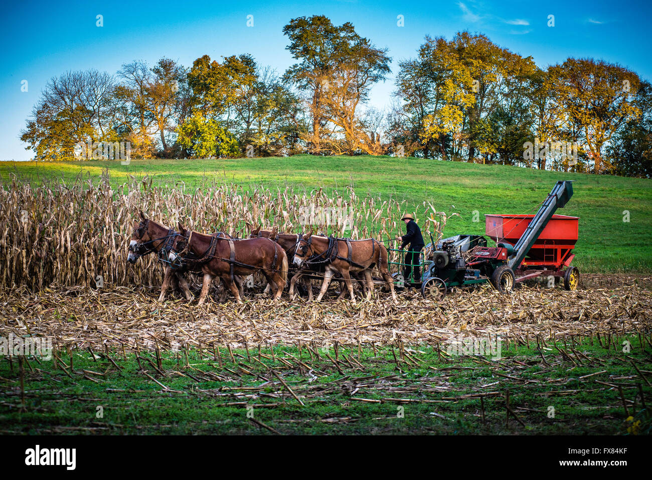 Amish Mud Sale, held every spring in Lancaster, PA. Fund raising for ...