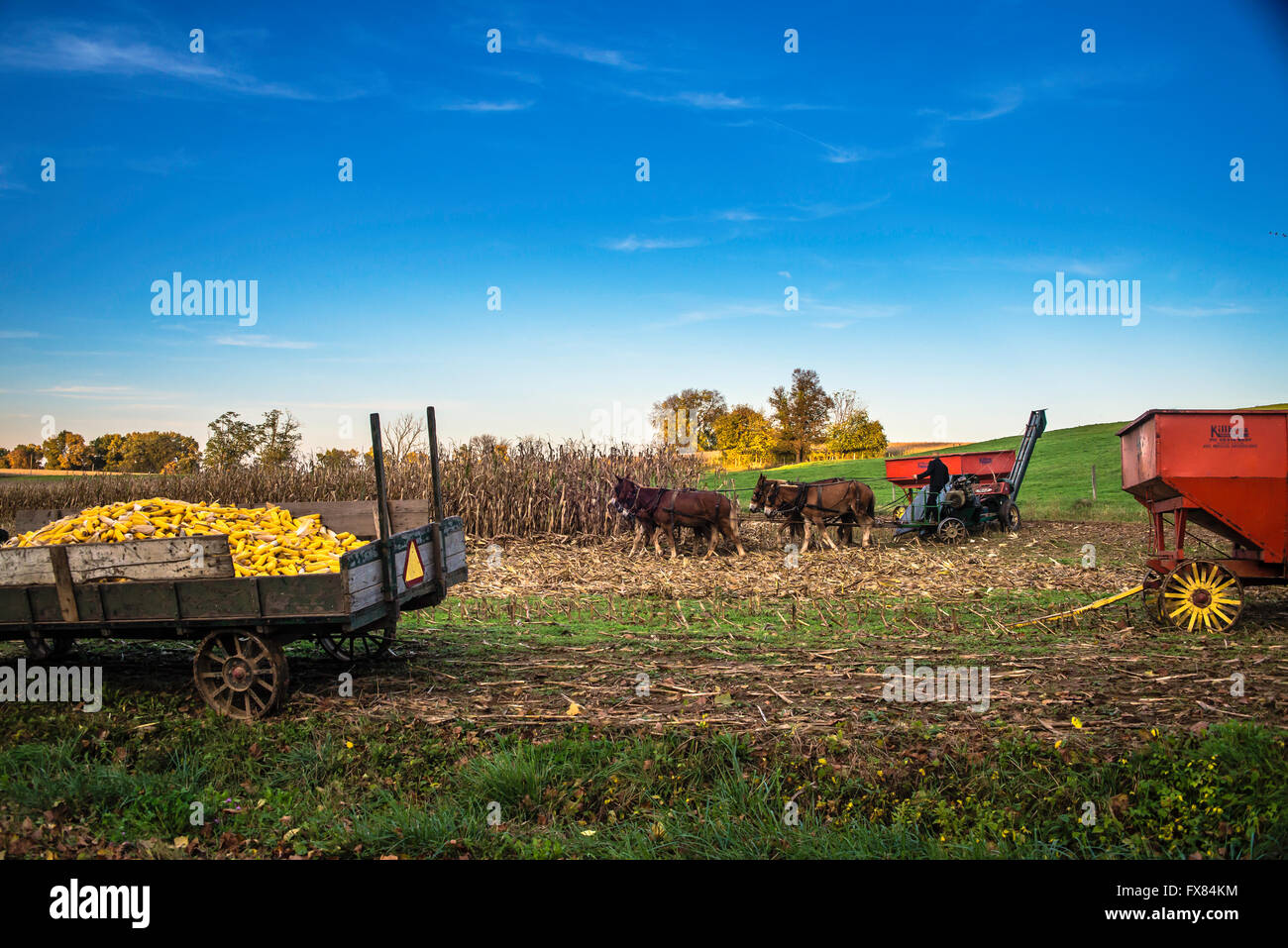 Amish Mud Sale, held every spring in Lancaster, PA. Fund raising for ...