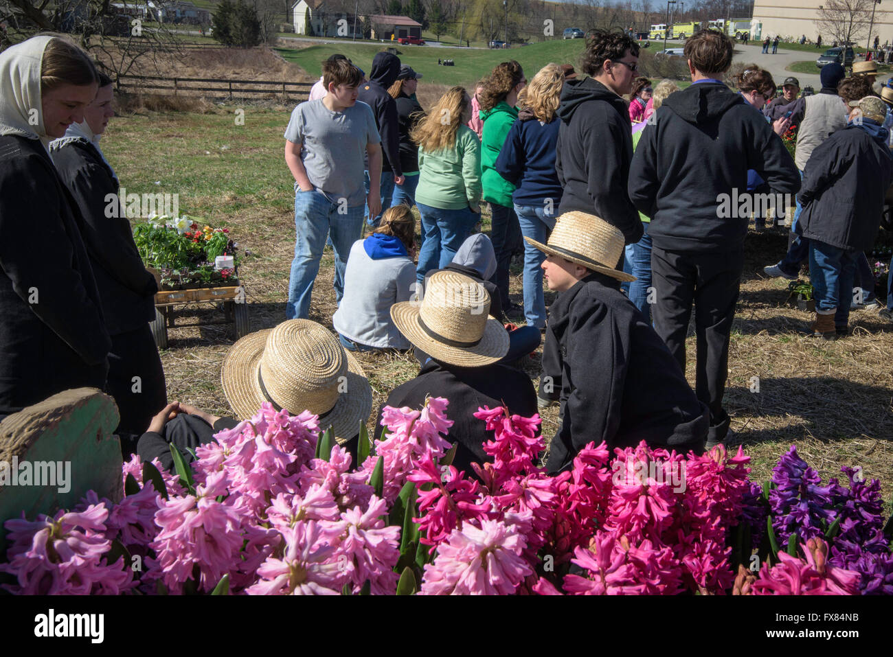 Amish Mud Sale, held every spring in Lancaster, PA. Fund raising for ...