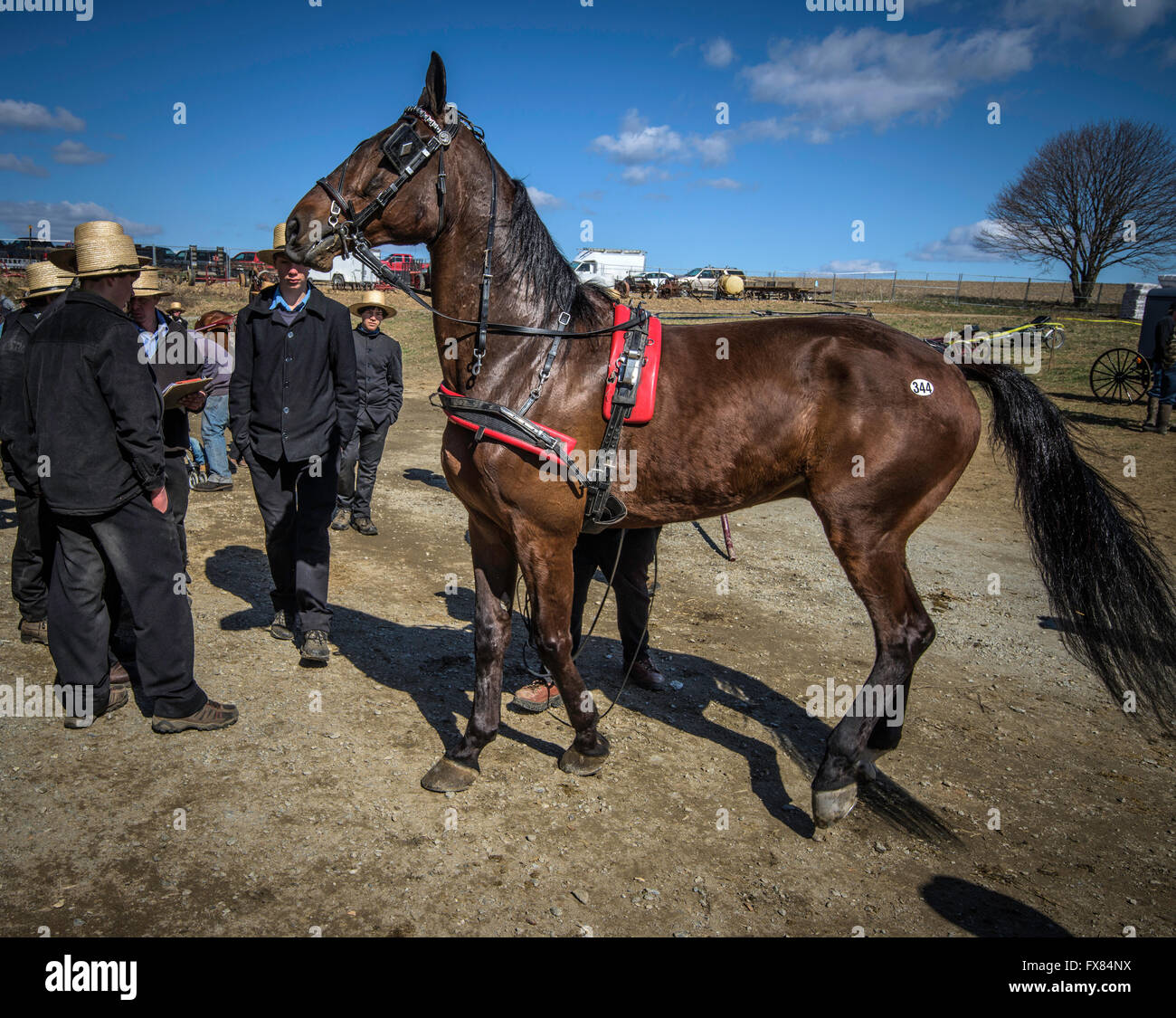 Amish family downtown hi-res stock photography and images - Alamy