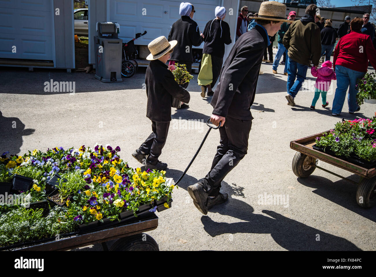 Amish Mud Sale, held every spring in Lancaster, PA. Fund raising for ...