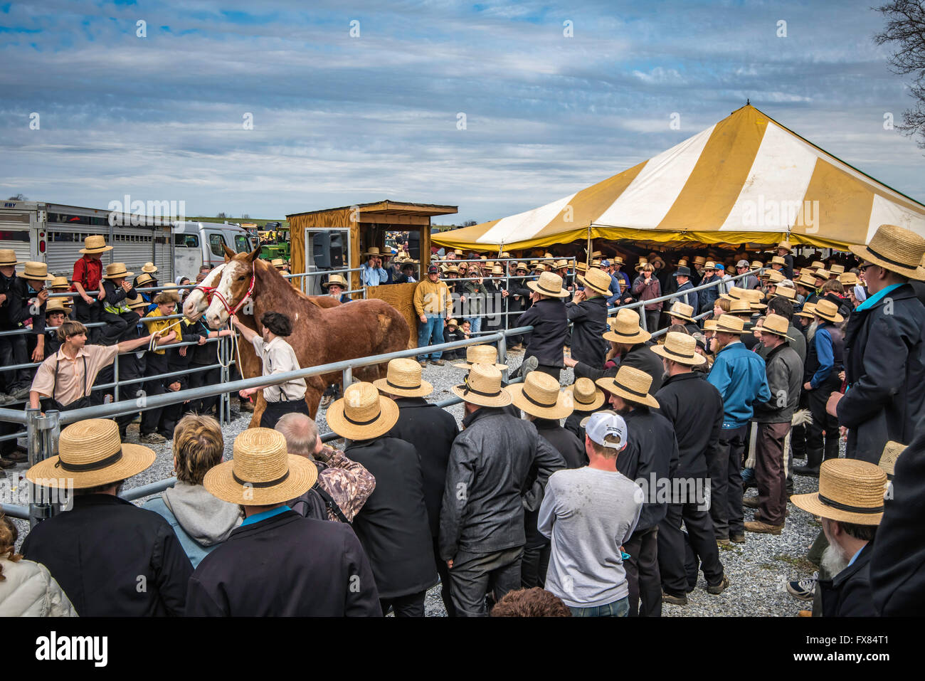 Amish Mud Sale, held every spring in Lancaster, PA. Fund raising for ...