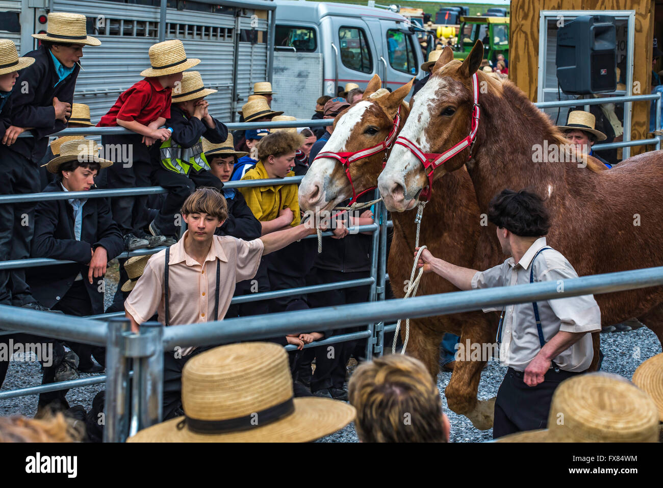 Amish Mud Sale, held every spring in Lancaster, PA. Fund raising for ...