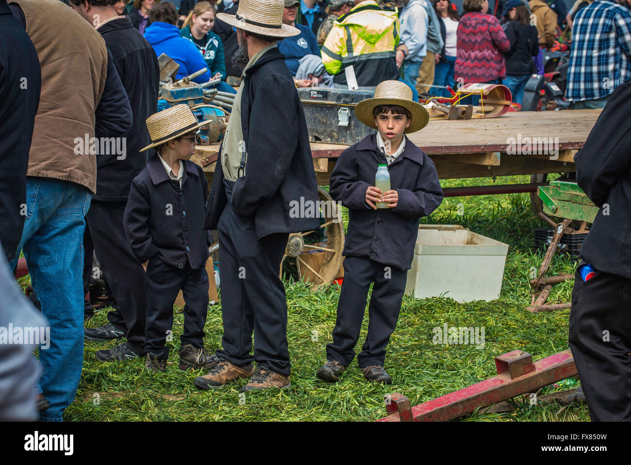 Amish Mud Sale, held every spring in Lancaster, PA. Fund raising for ...