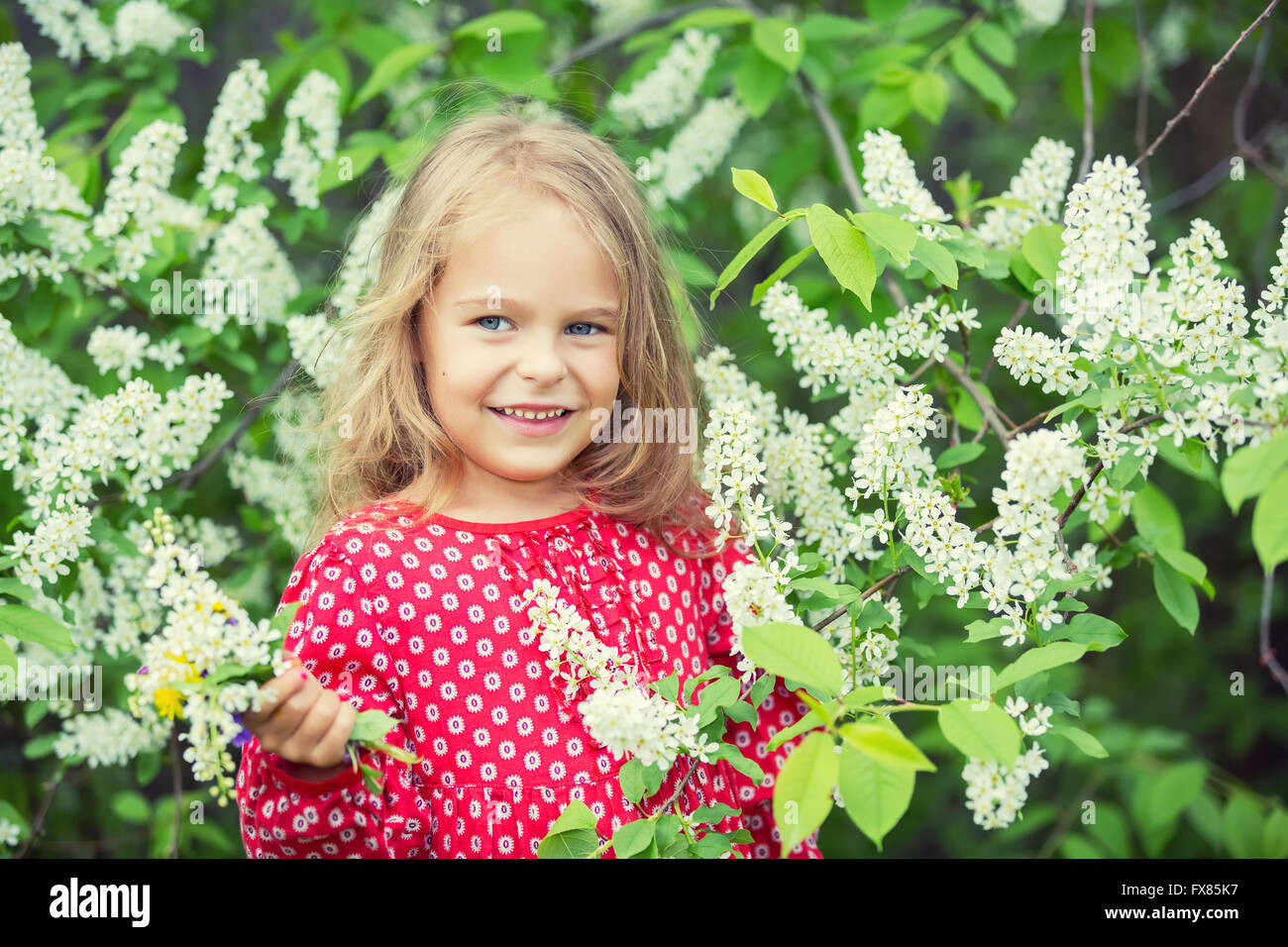 Little girl in spring flowers Stock Photo - Alamy